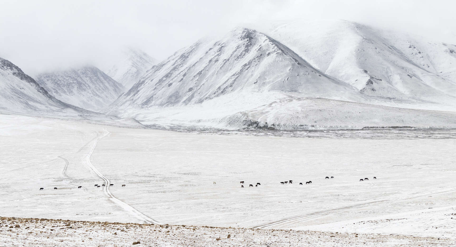 Que cherchons-nous dans ces montagnes que l’on appelle célestes ...